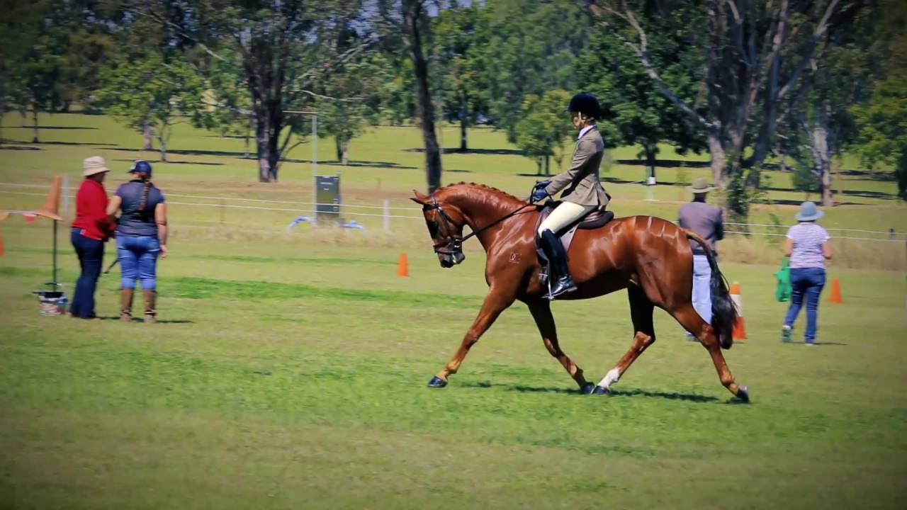 Beaudesert Show - 2016 (Sponsored) - YouTube