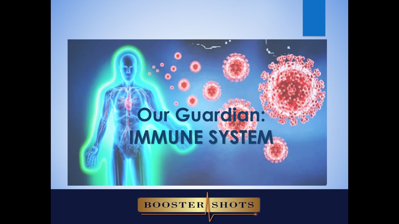 IMM1 | Immune system and its Components - YouTube