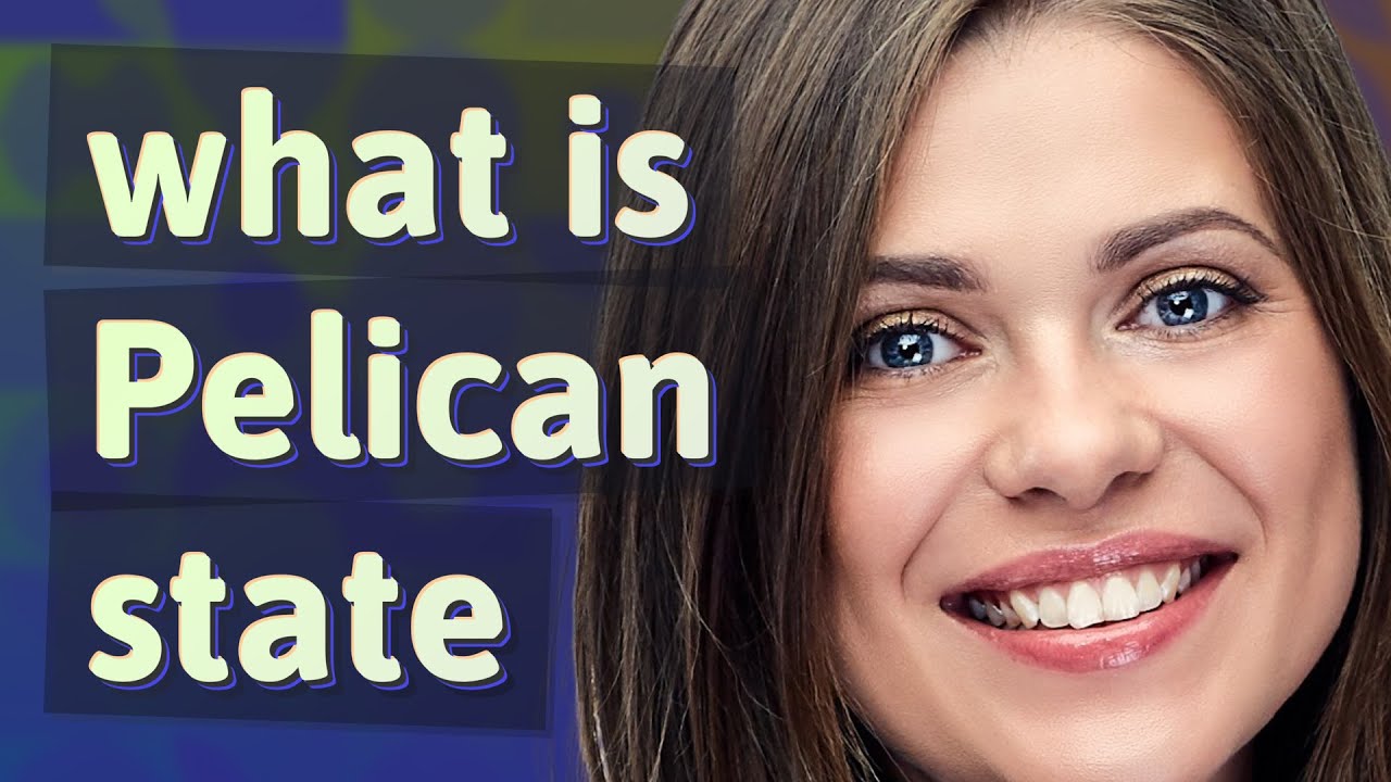 Pelican state | meaning of Pelican state - YouTube