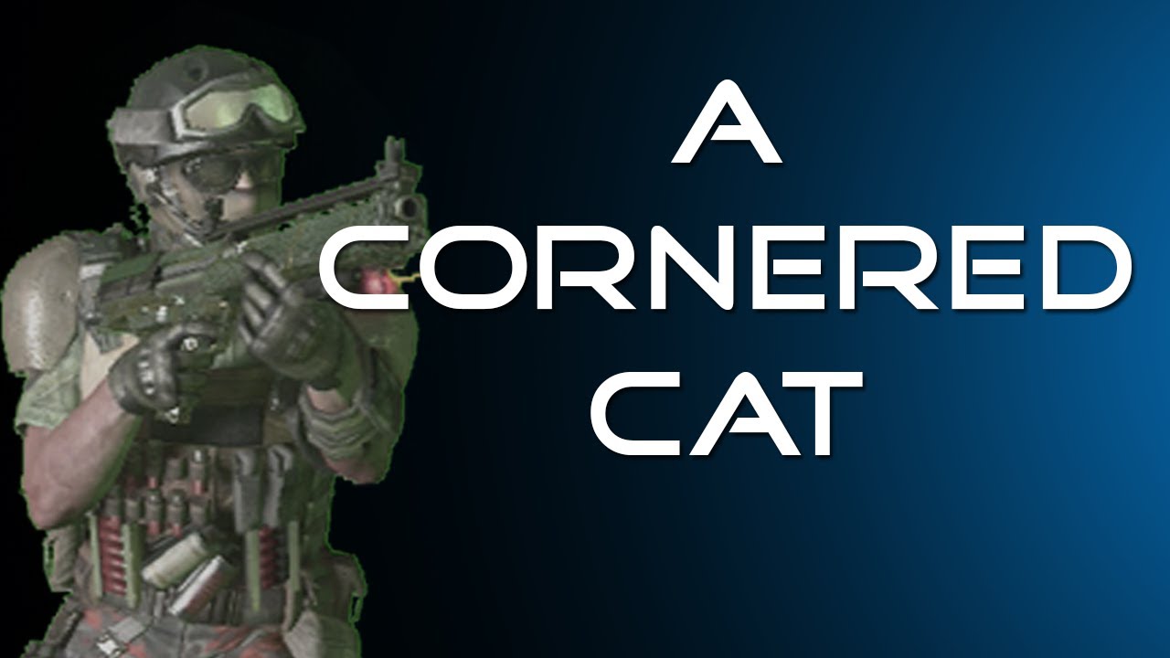 A Cornered Cat - EXPOSED! - YouTube