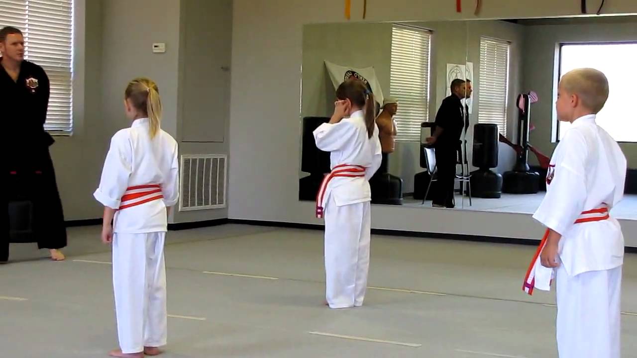 Purple Belt Test Techniques - YouTube
