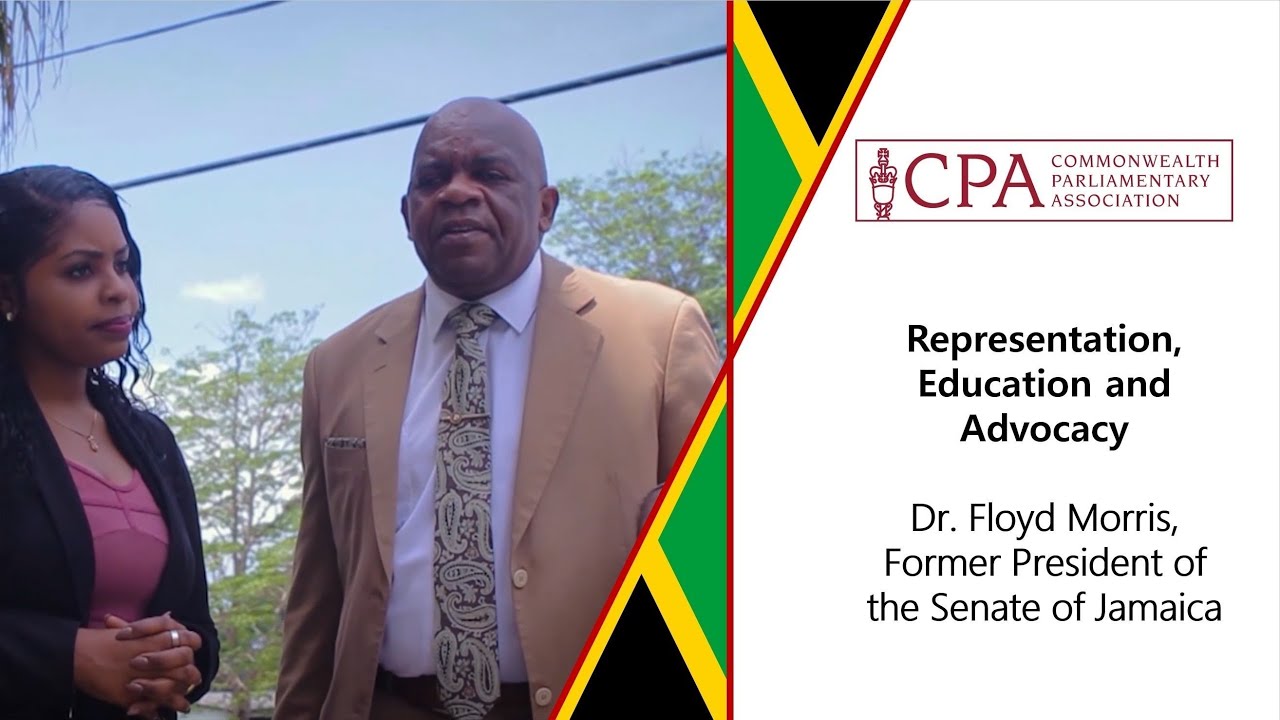 Disabilities | Representation, Education & Advocacy: How Parliaments ...