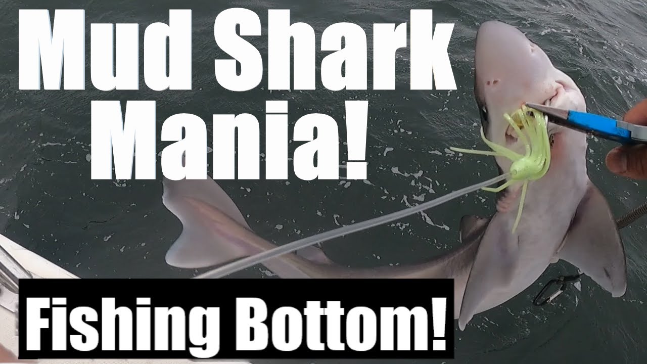 Halibut Anchor, How to. Bottom fishing. Mud Sharks, Rockfish & Ling Cod ...