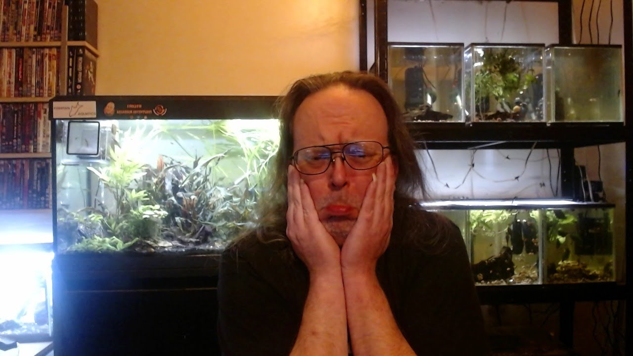 Sunday Sharpe: Kribless - YouTube