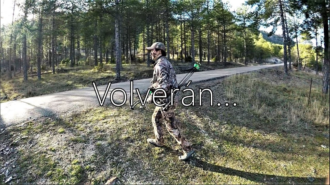 VOLVERÁN - YouTube