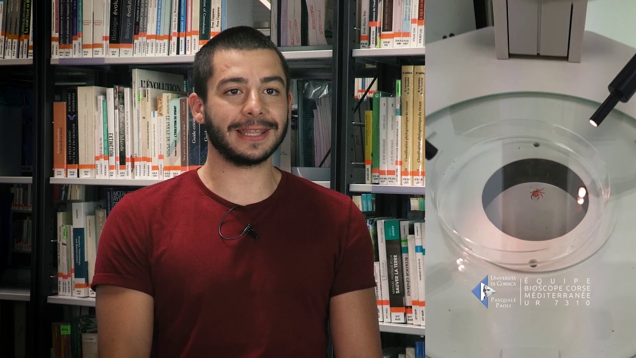 Vincent Cicculli - Doctorant à l’Université de Corse - YouTube