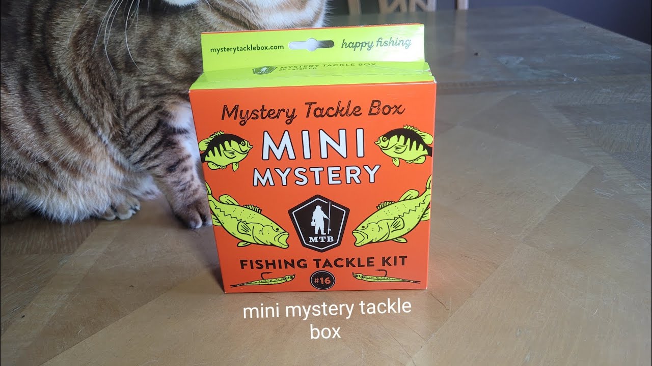 mtb mini mystery tackle box for only 5 dollars #16 #youtubeshorts # ...