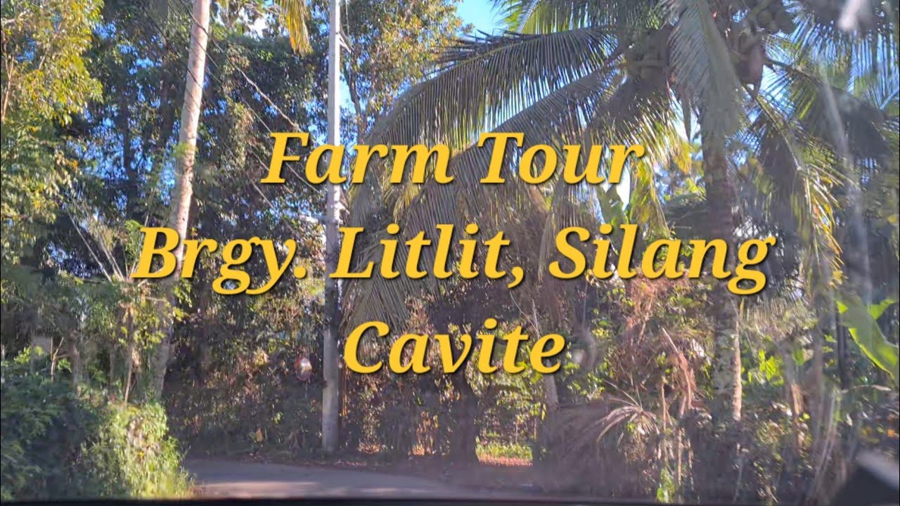 Farm Tour Silang, Cavite - YouTube