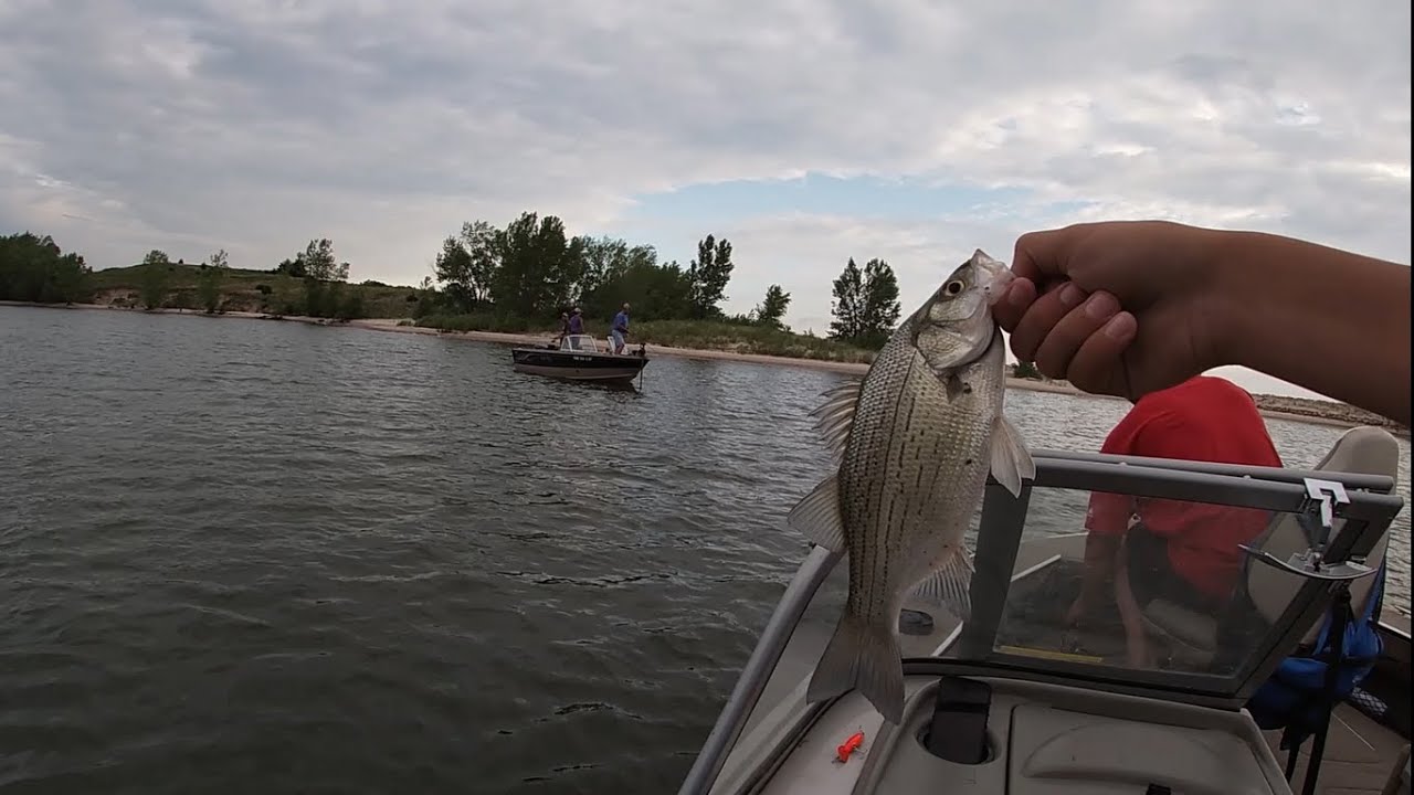 catching 34 white bass at Calamus Nebraska - YouTube
