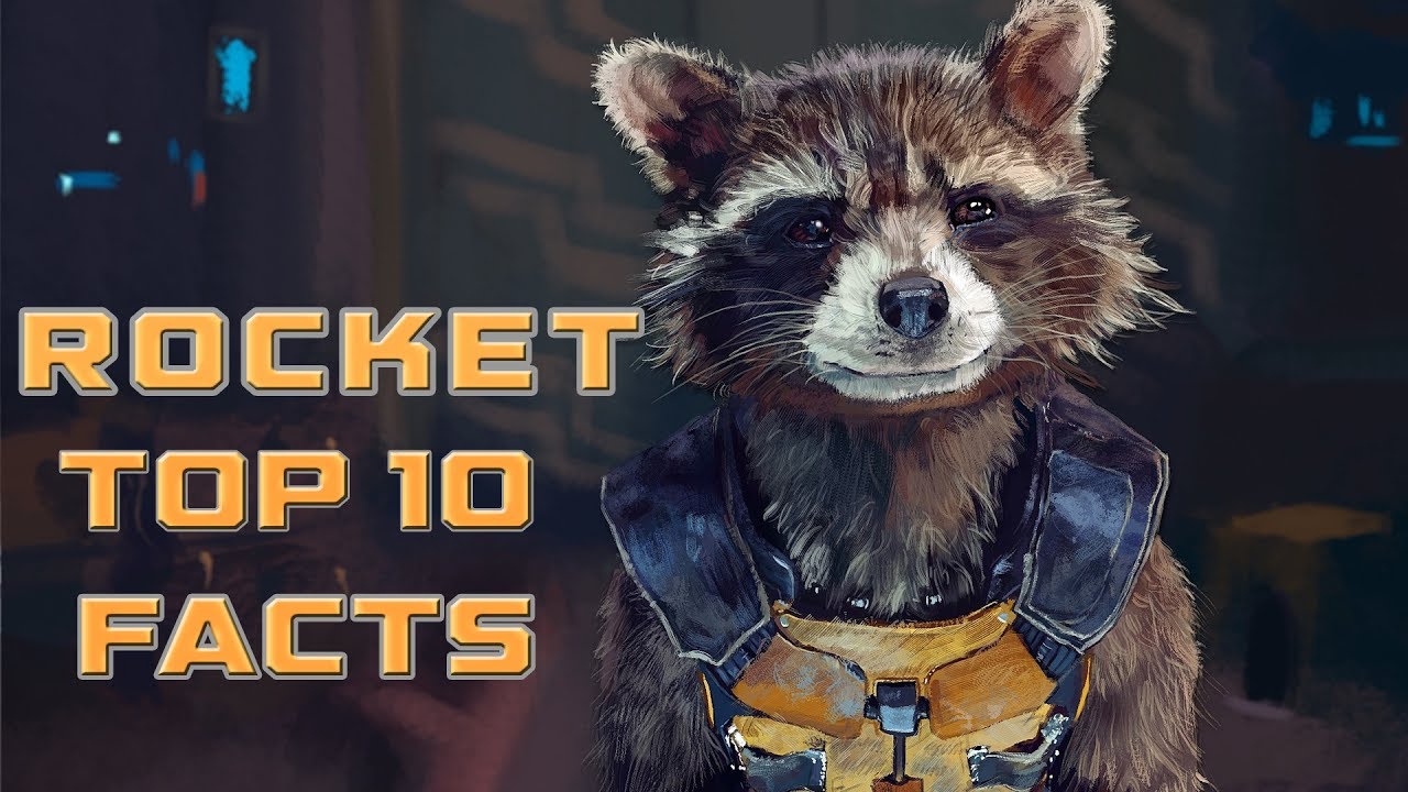 Top 10 Facts You Should Know About Rocket Racoon - YouTube