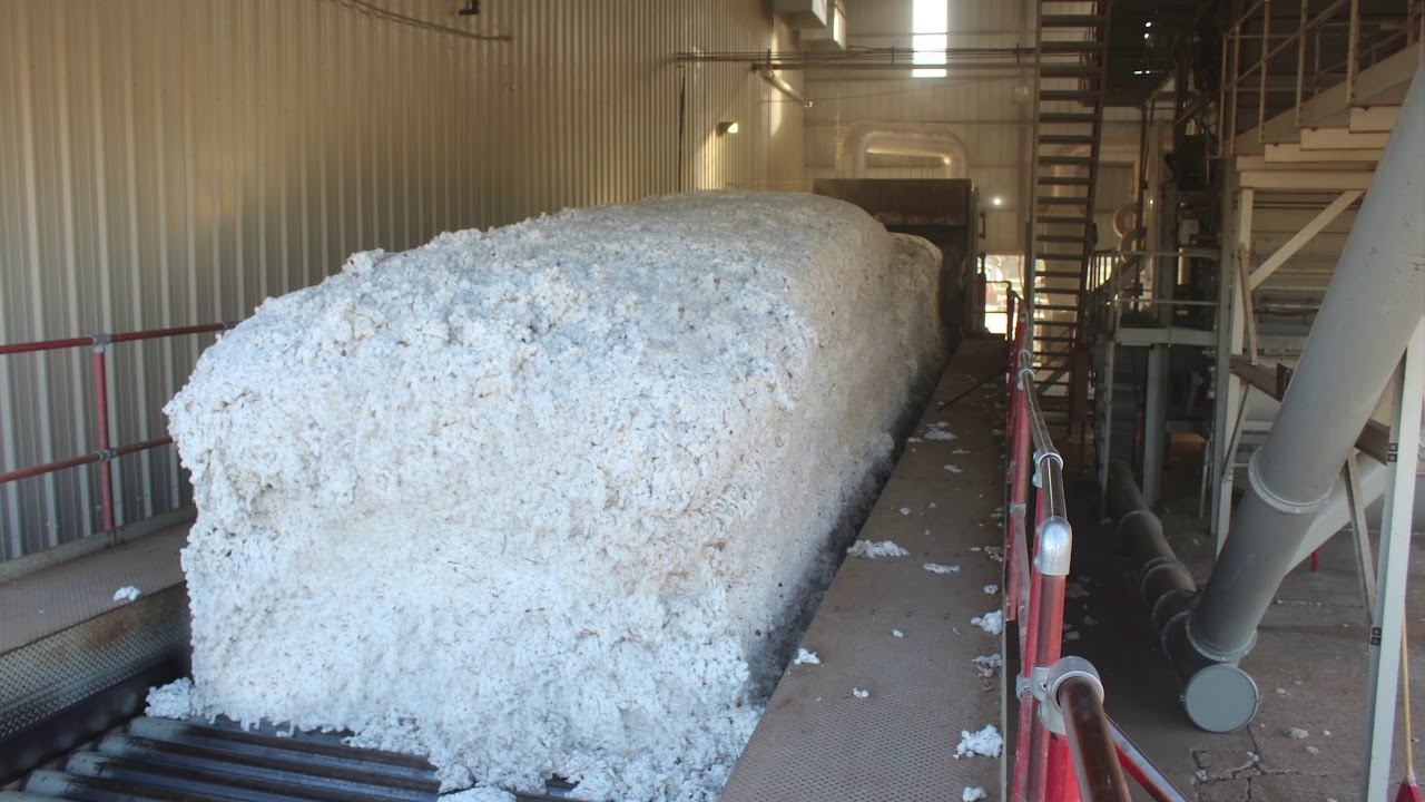 Woolam Gin - YouTube