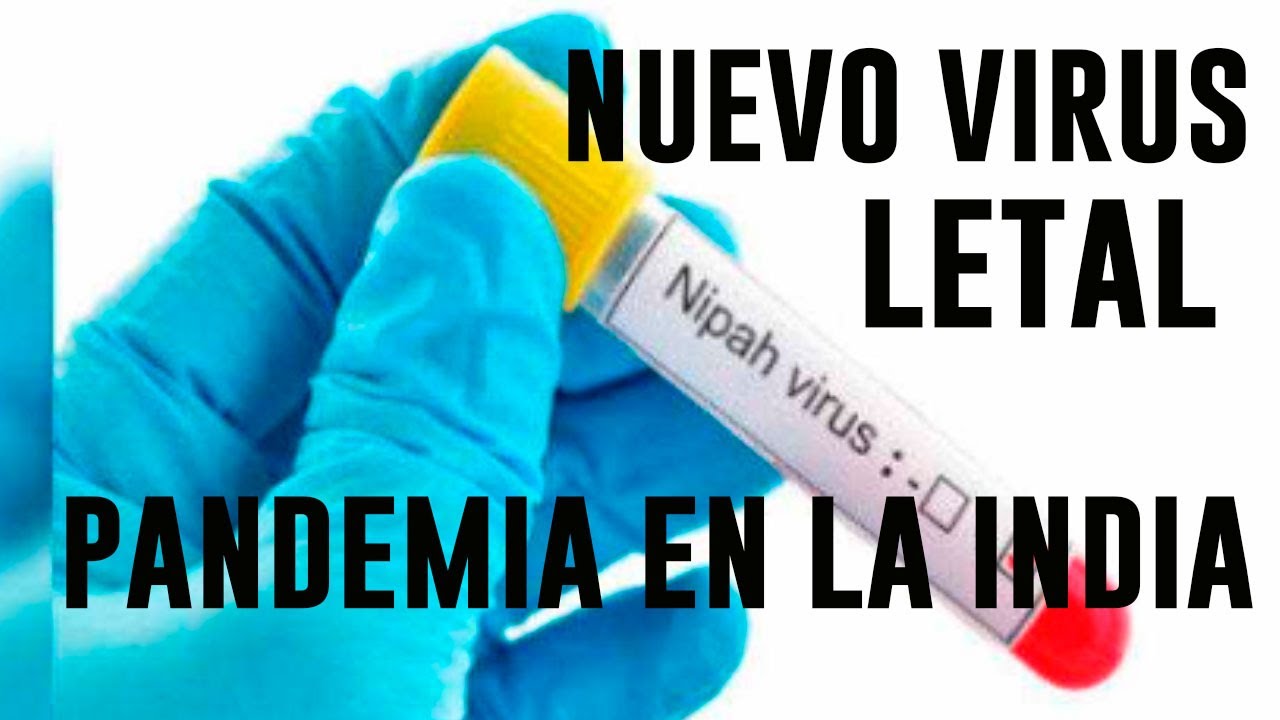 NUEVO VIRUS LETAL... INICIA PANDEMIA EN LA INDIA - YouTube