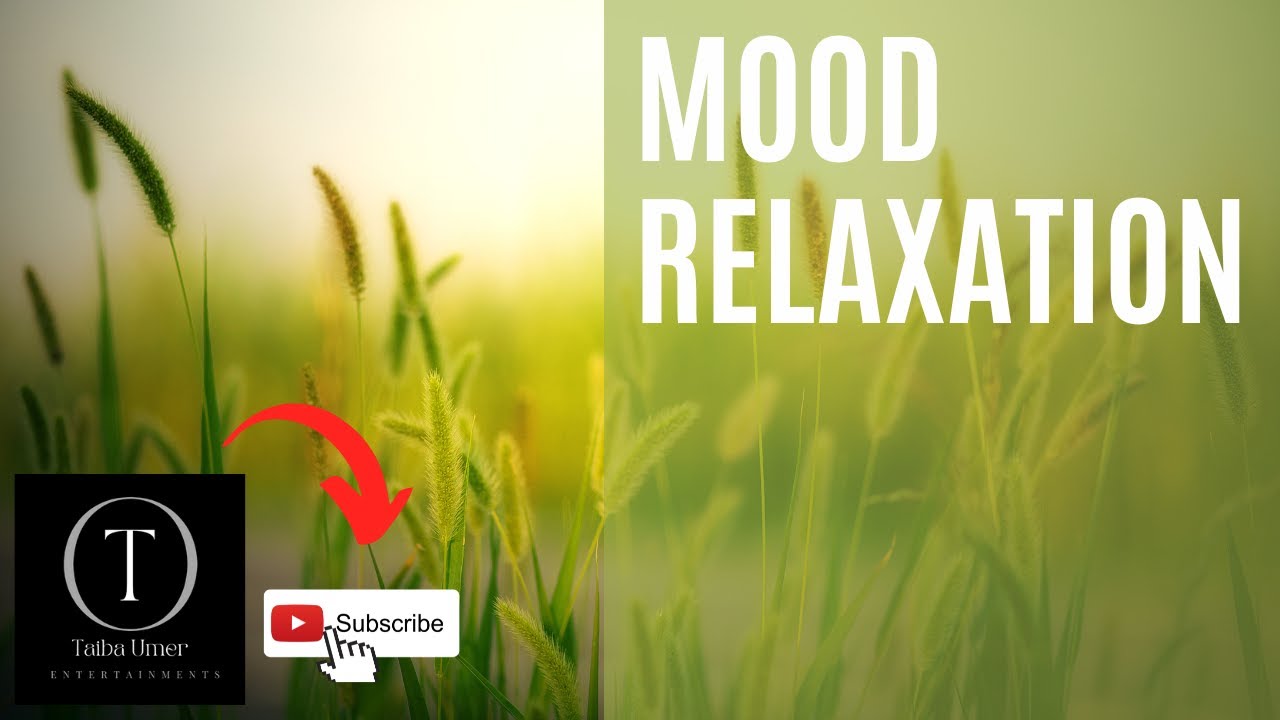 Relaxing Music for Sleep | Meditation | Mood Changer Music Videos - YouTube