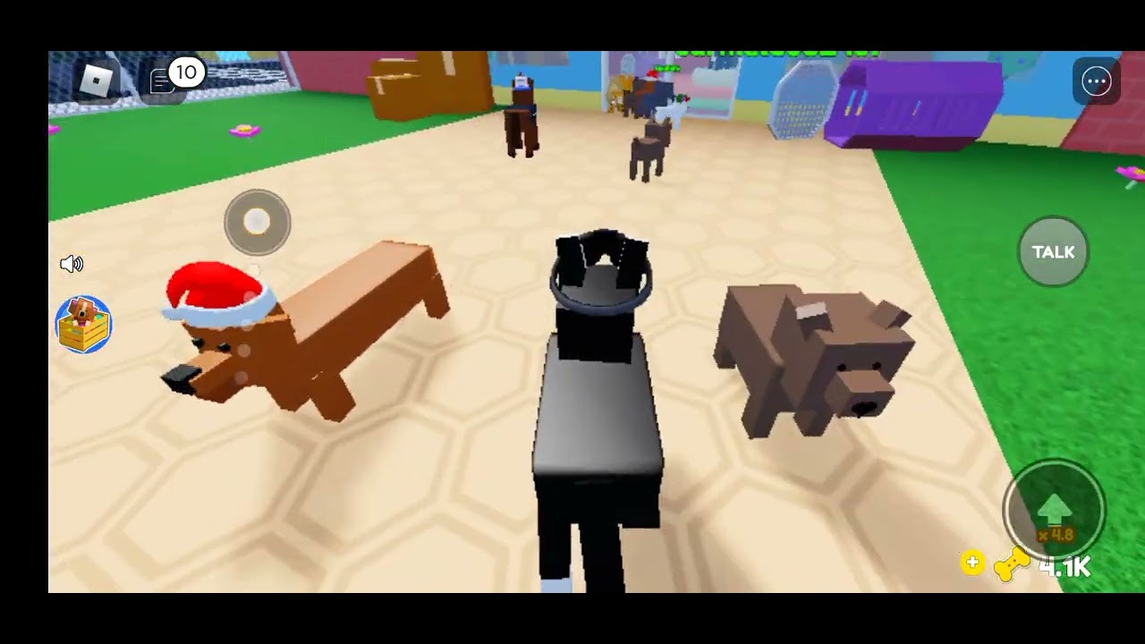 pet story - YouTube