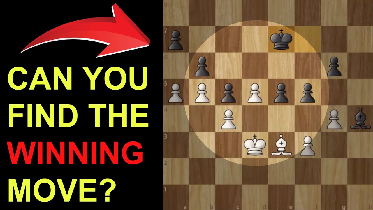 This Chess Puzzle Will Stump Even the Best Players | Can You Solve It? - YouTube