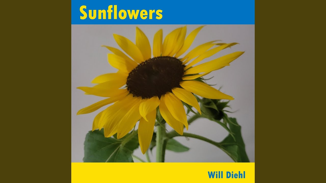 Sunflowers - YouTube Music