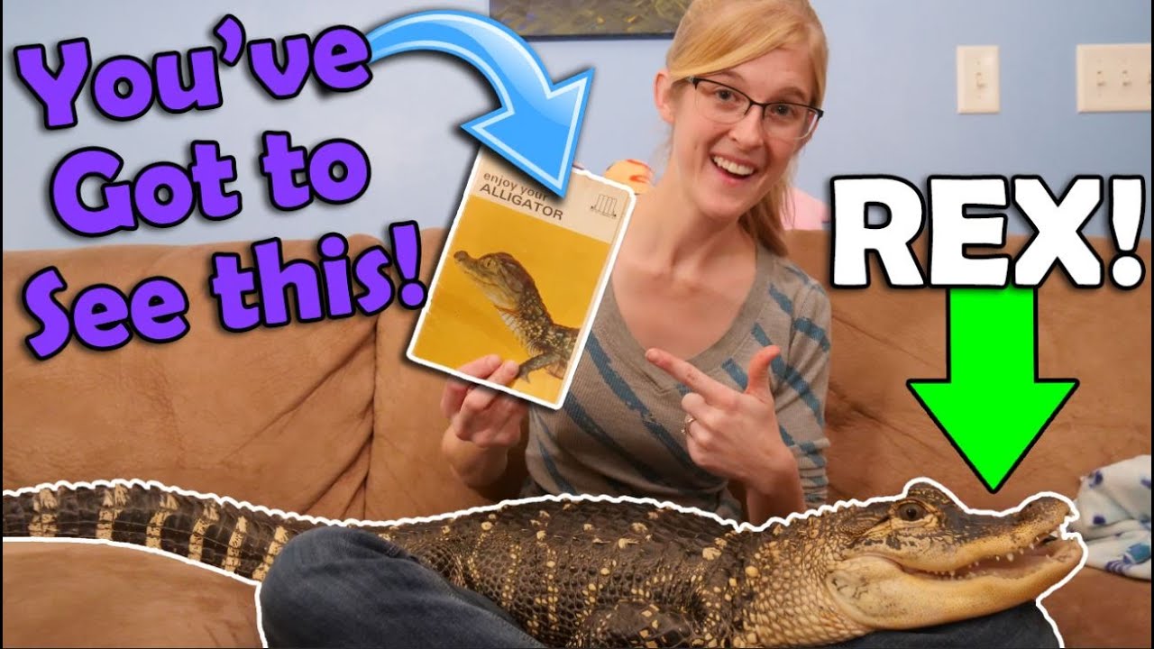 Storytime with our Alligator Rex! - YouTube