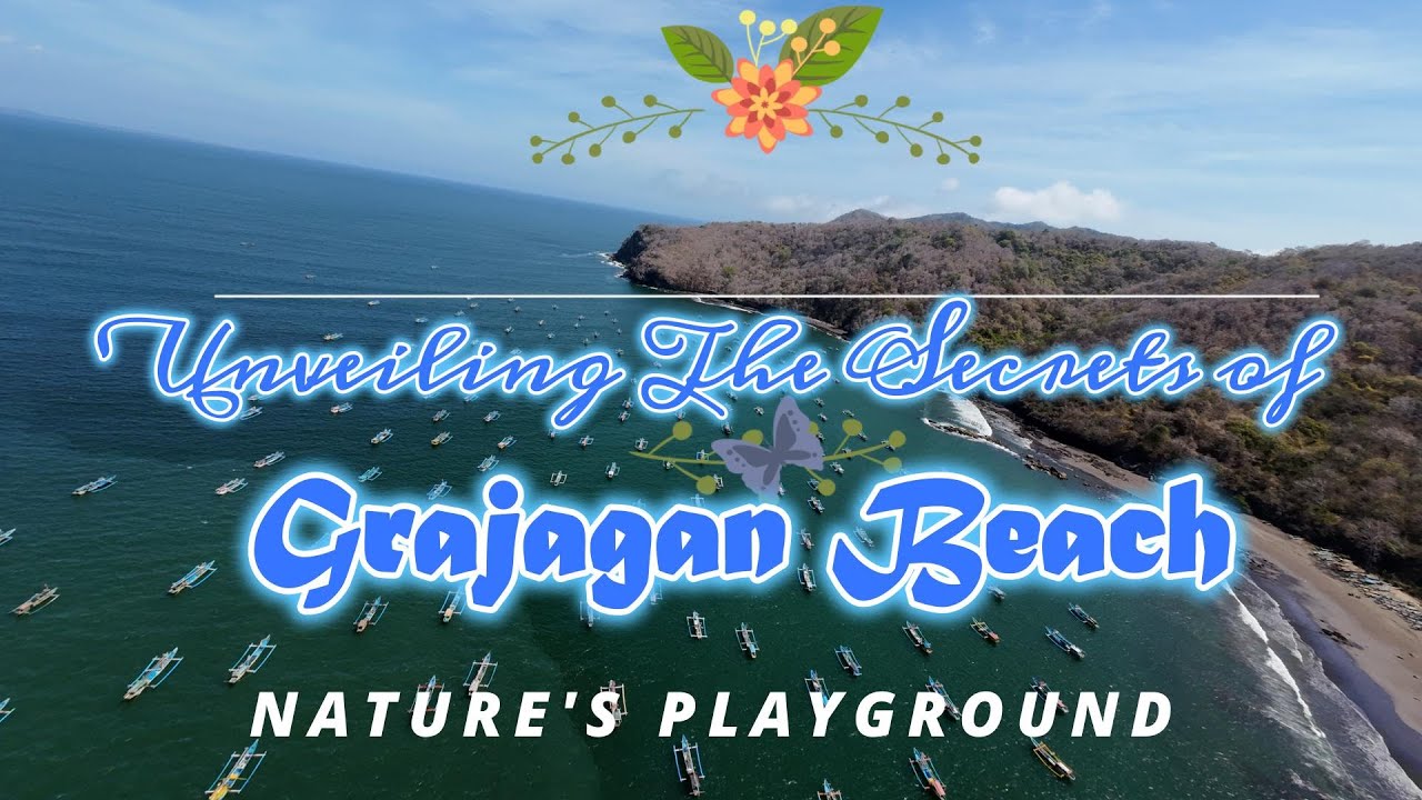 Unveiling The Secrets of Grajagan Beach Nature's Playground - YouTube