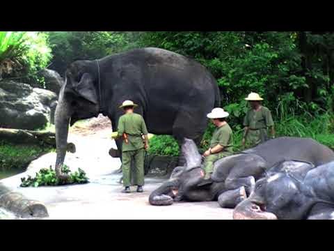 20121201 尧玲陪能平健游动物园 21 - YouTube