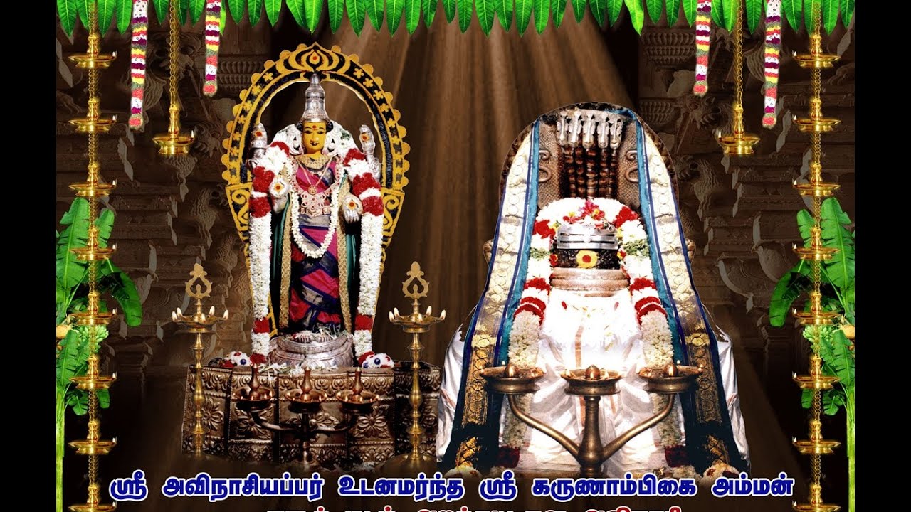 AVINASHI LINGESWARAR TEMPLE - YouTube