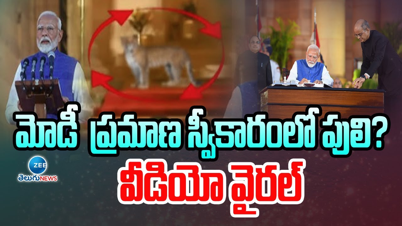 Leopard In PM Modi Oath Ceremony | మోడీ ప్రమాణ స్వీకారంలో పులి? వీడియో ...