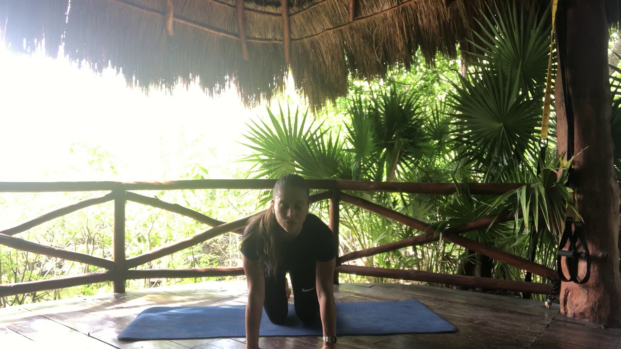 Pilates con Animal Flow - YouTube