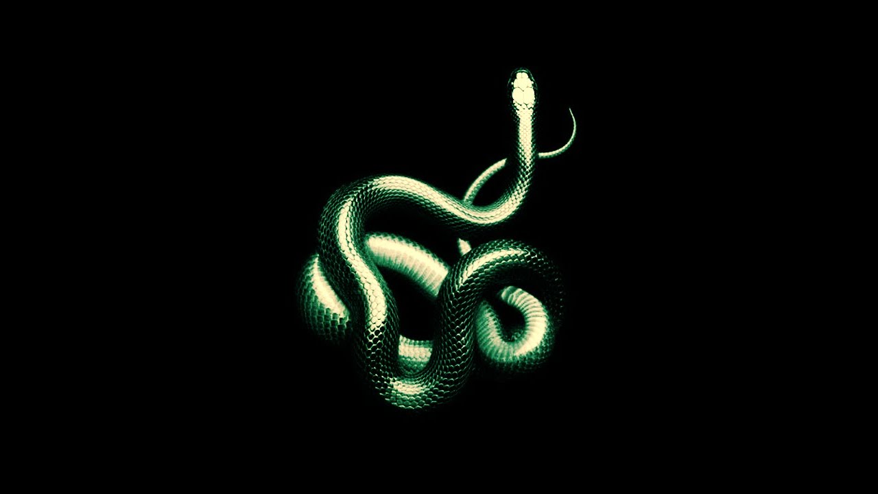 Trap Beat " SNAKE " Instrumental | FREESTYLE Rap Trap Type Beat ( Prod ...