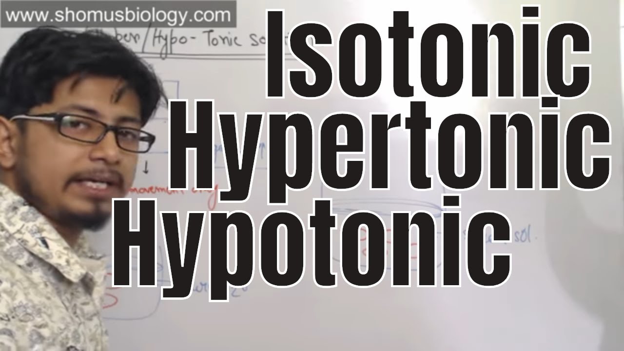 Isotonic Solution Hypertonic Solution And Hypotonic Solution YouTube isotonic-solution-hypertonic-solution-and-hypotonic-solution-youtube