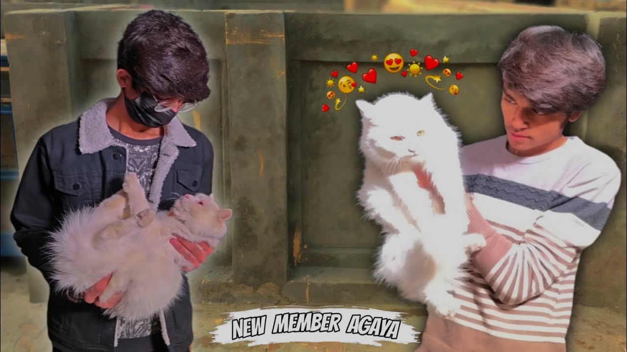 Setup Per New Cute Member Agaya 🤭 || Pets Zone - YouTube