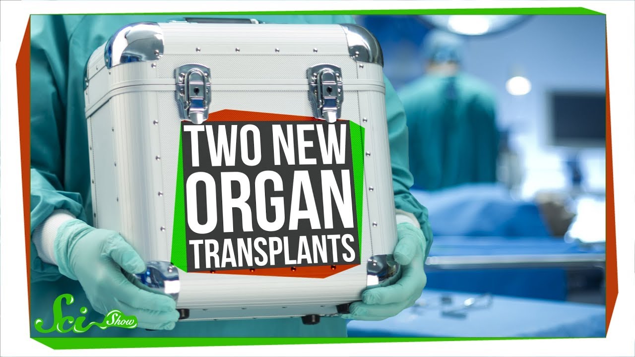 Two Unbelievable New Transplants That Actually Worked - YouTube