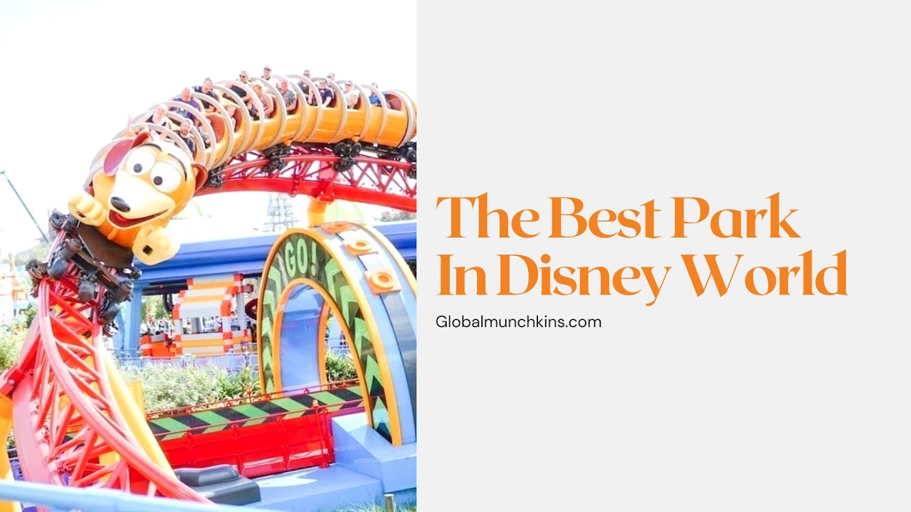 WHICH DISNEY WORLD PARK IS THE BEST THE SURPRISING ANSWER YouTube which-disney-world-park-is-the-best-the-surprising-answer-youtube