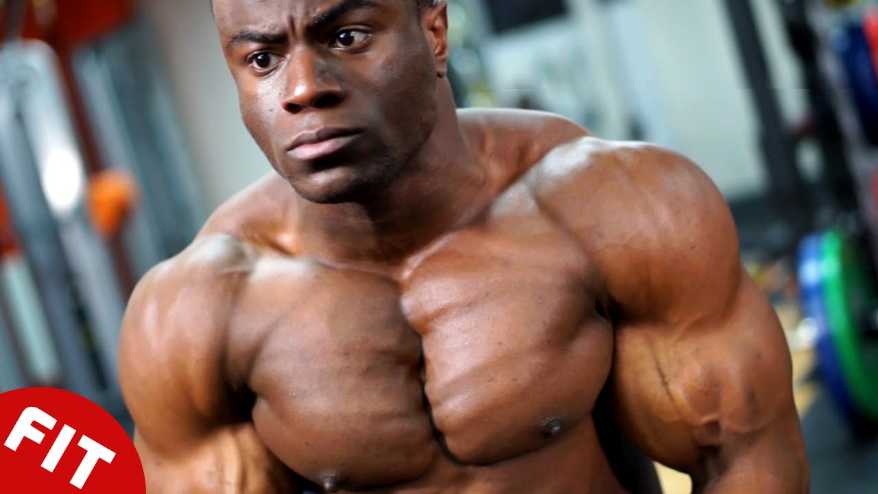 TRAIN INSANE THE MUSCLES FROM BRUSSELS YouTube TRAIN INSANE THE MUSCLES FROM BRUSSELS YouTube