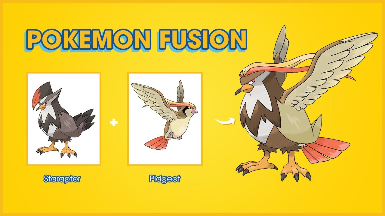 Pokemon Fusion Staraptor Pidgeot Youtube