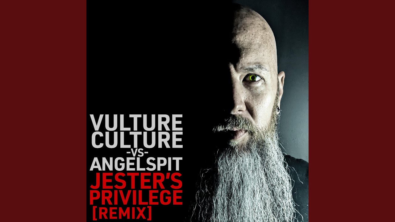 Jester's Privilege (Vulture Culture Remix) - YouTube