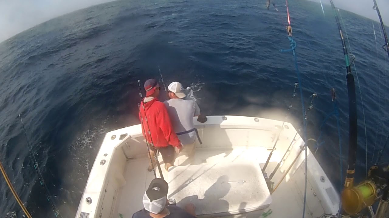 greg short - YouTube