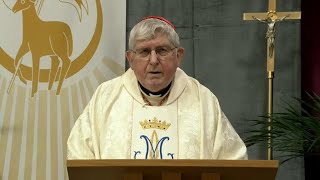 Catholic Mass Today | Daily TV Mass, Friday October 25, 2024 – Catholic ...