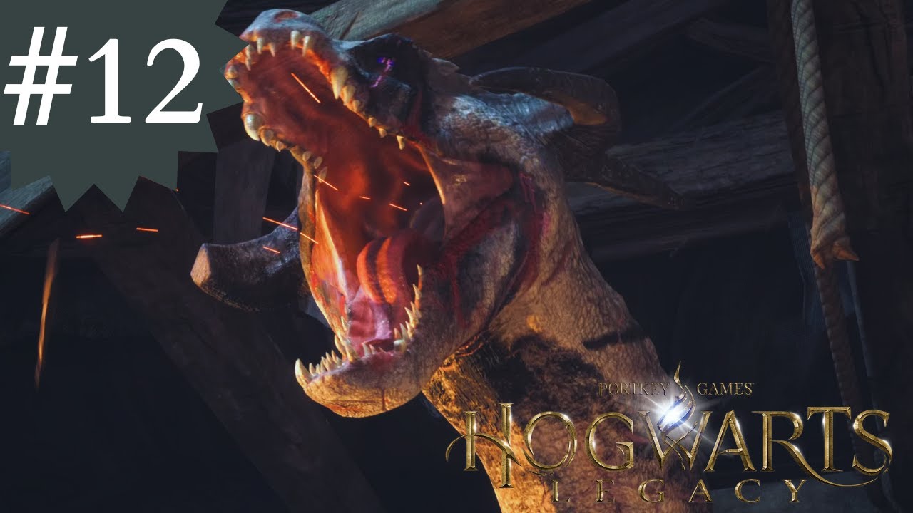 Comment devenir un animagus ⏐ Hogwarts Legacy #12 - YouTube