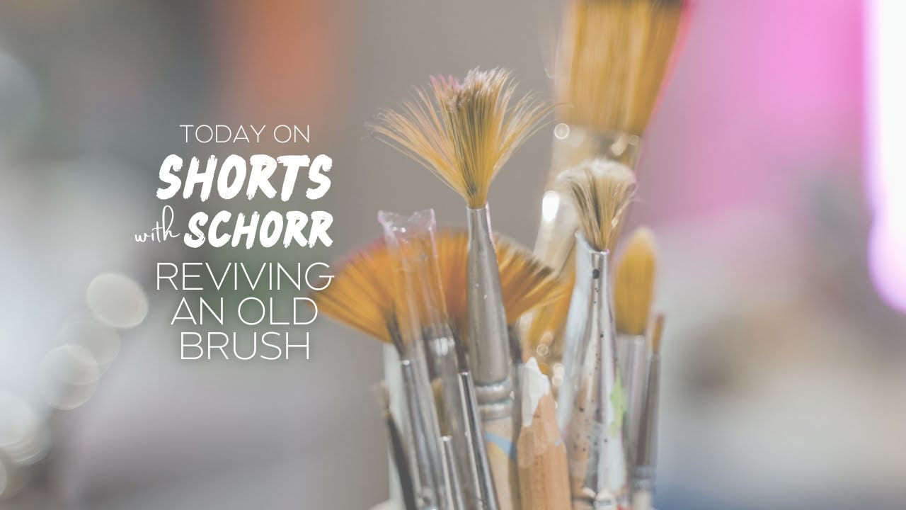 Revive Your Overused Paint Brushes | Shorts with Schorr - YouTube