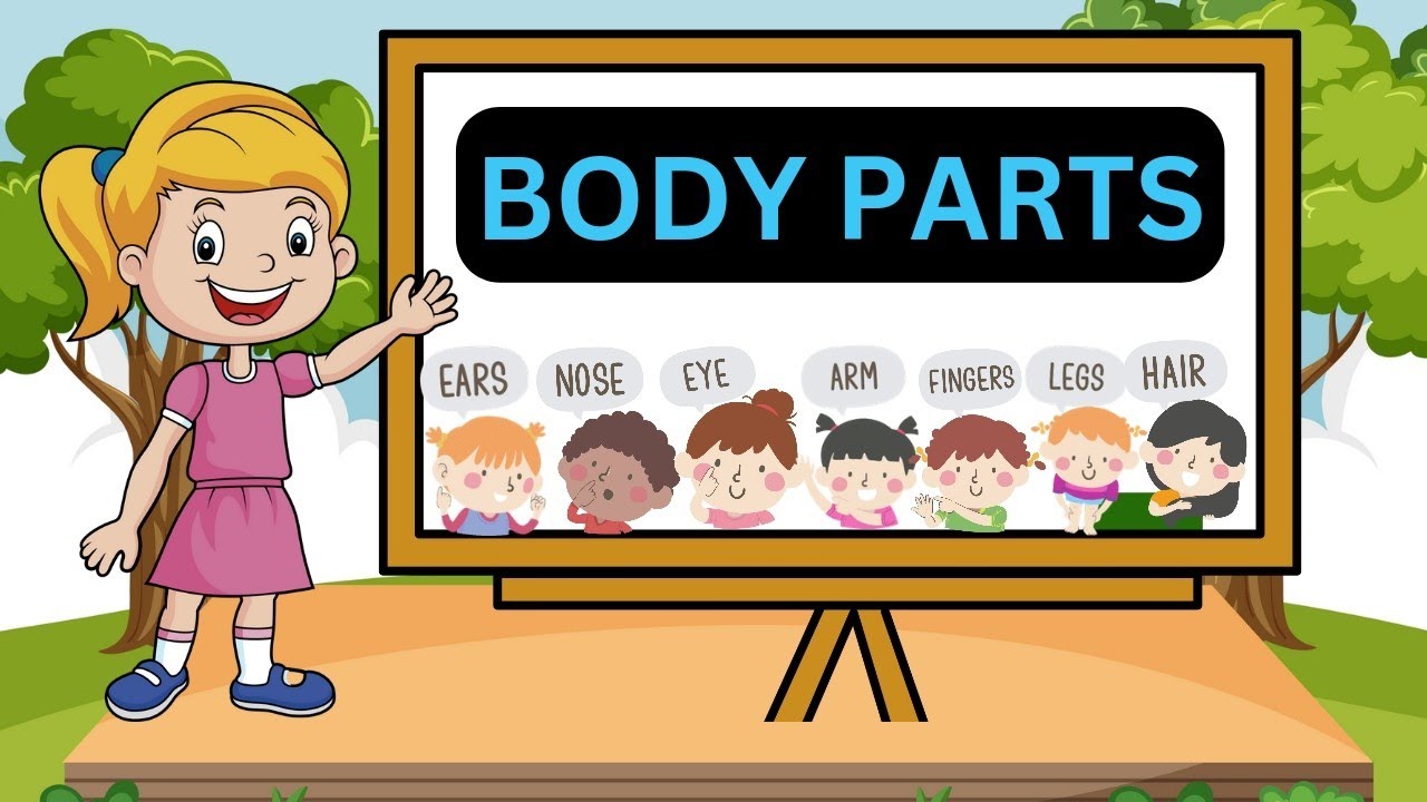Human Body Parts Name | Parts Of Body | Name Of Body Parts In English ...