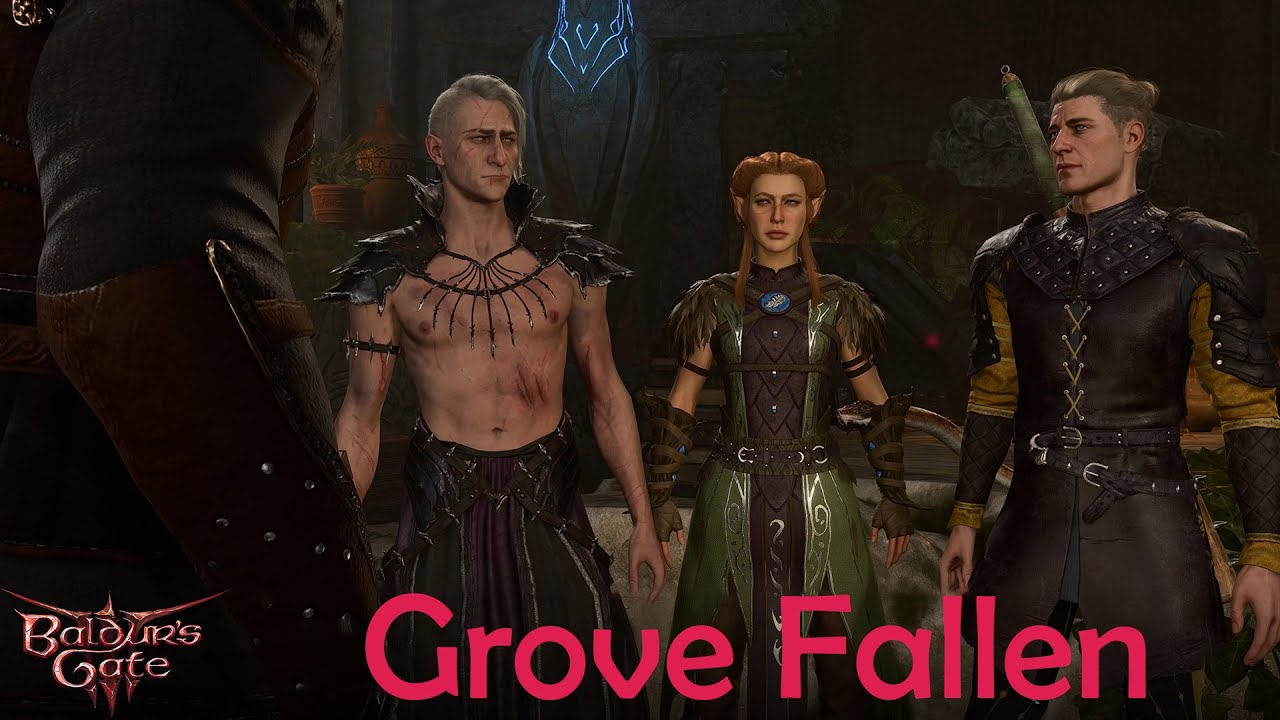Baldur's Gate 3 Fantasy: What if Shadow Druids Take Over the Grove ...