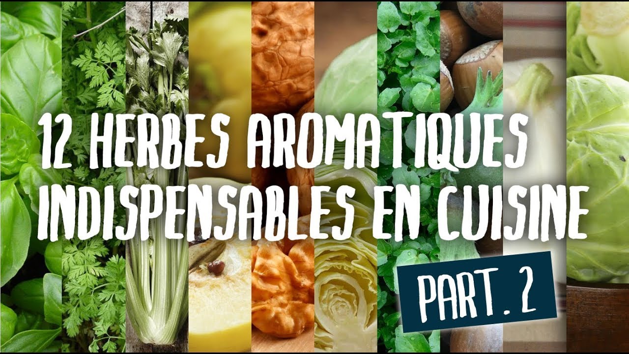12 herbes INDISPENSABLES en cuisine (part. 2) - YouTube
