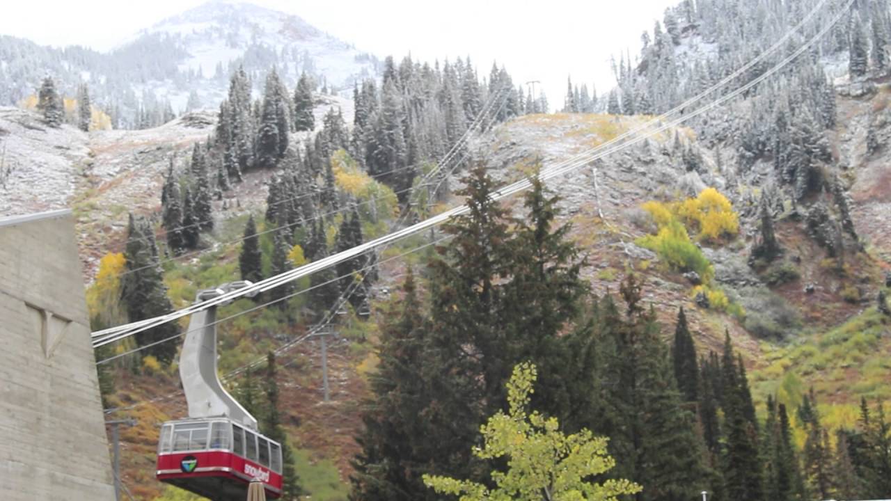 A Snowbird Documentary - YouTube