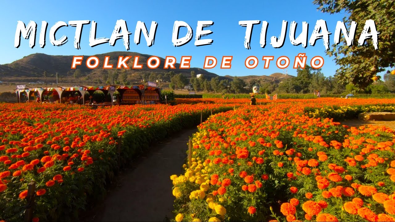 Mictlán De Tijuana - YouTube