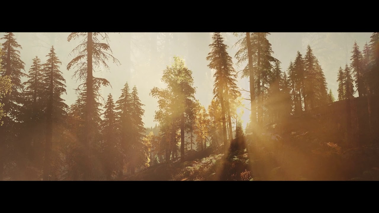 Shunia – "Breeze At Dawn" OFFICIAL MUSIC VIDEO - YouTube