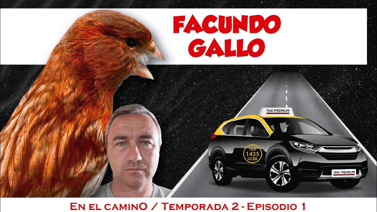 Visitamos el criadero de Facundo Gallo - YouTube