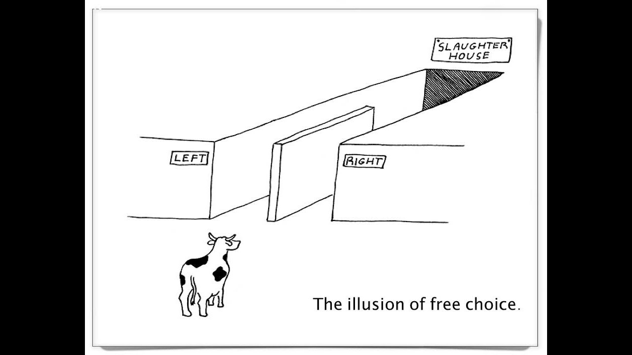 anger. and the illusion of free choice! - YouTube