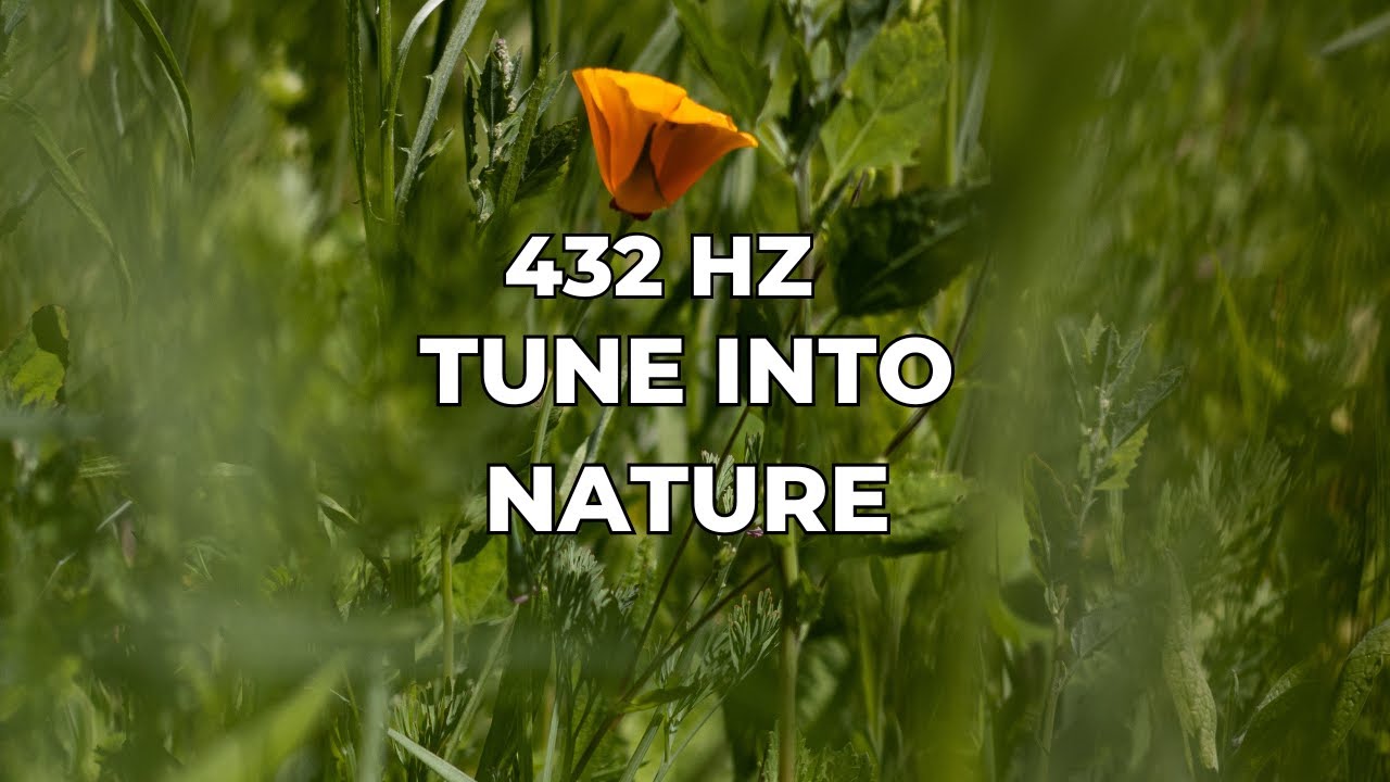 432 Hz - The Frequency of Nature - YouTube