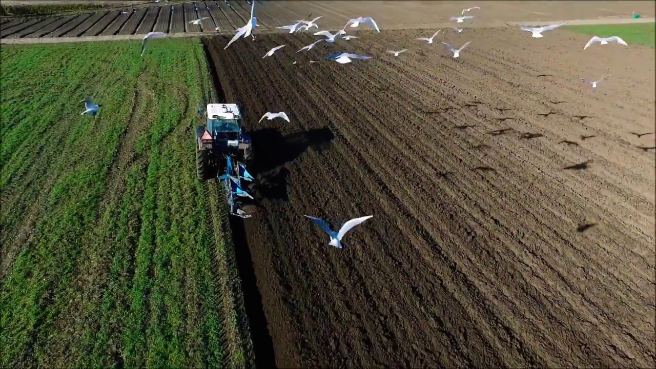 New Holland / Ford 3435 / Ploegen / Ploughing / Pflügen / Plowing - YouTube
