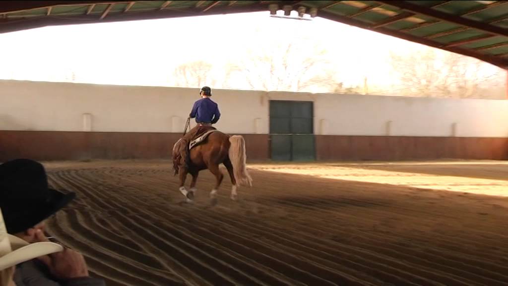 VOLPE ERIC RANIERI-EXXCALIBER-LRHA TAPPA 1-2014 - YouTube