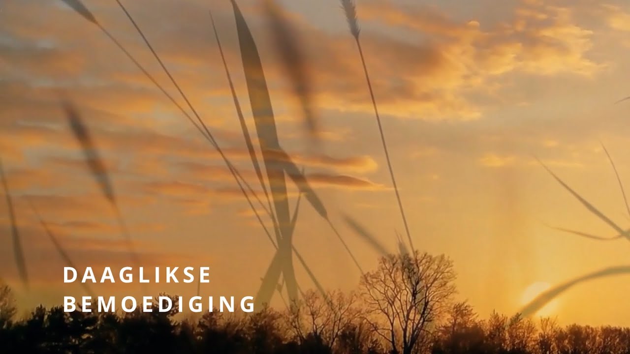 Van Hopeloosheid tot Hoop | Oordenking met Pastoor Nadine Swanepoel ...